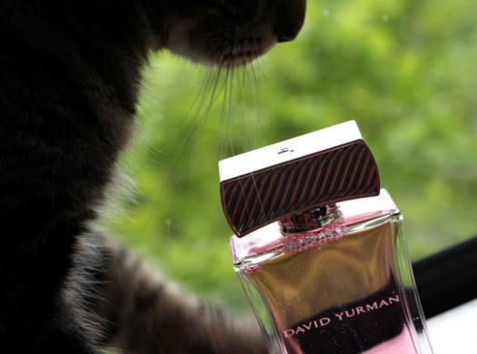 Two Ways to Win the Entire David Yurman Essence Fragrance Collection (a ...