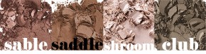 Getting Back to My Roots (Hair and Makeup) With MAC Sable, Saddle ...