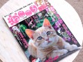 Take Your Cat Lady-Ness to the Next Level With Foreign Language Feline ...