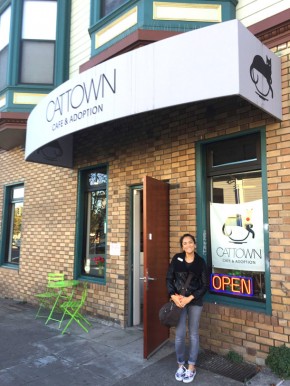 The Oakland Cat Town Café and Adoption Center: The Nation's First Cat ...